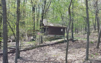 Hike: Keyes Gap to David Lesser Shelter